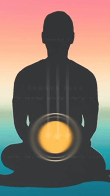 Longevity Programme: Exploring the Vayus – Understanding the Subtle ...